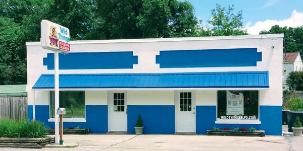 Wild Things Grooming & Boarding - Pet Boarding, Grooming