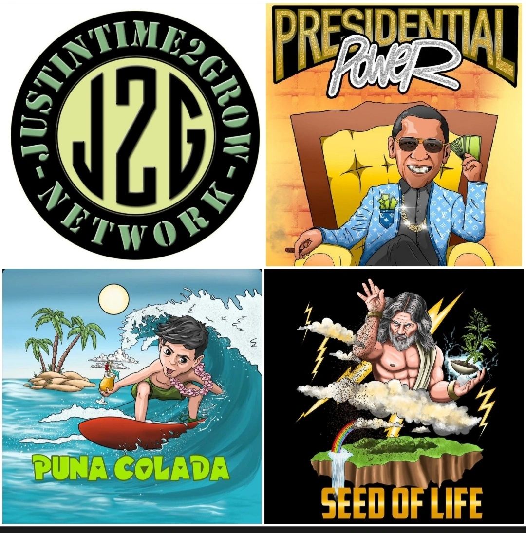 J2G TRIO PACK #2 - ( 3+ Separate 7 Packs - REGULARS) - J2G Genetics