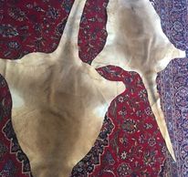 Kangaroo Skins | braveant.com.au