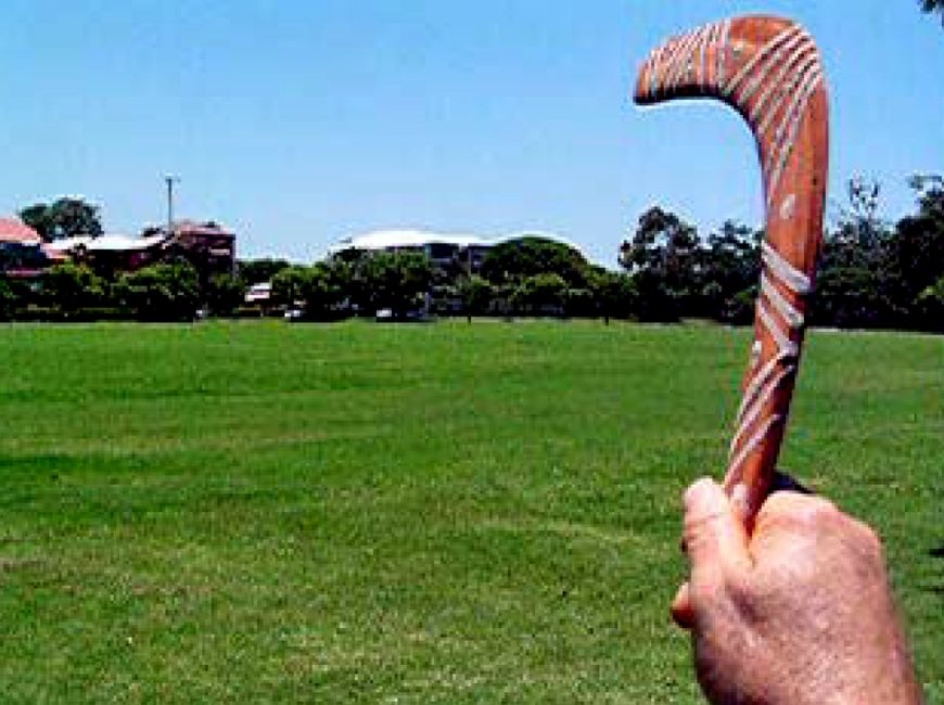 Boomerangs | braveant.com.au