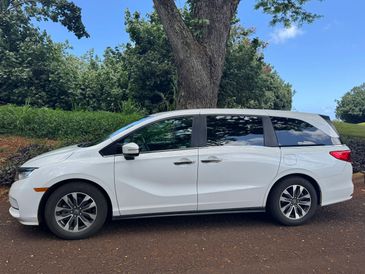 Pineapple Express Kauai - Car Rentals - Lihue, Hawaii