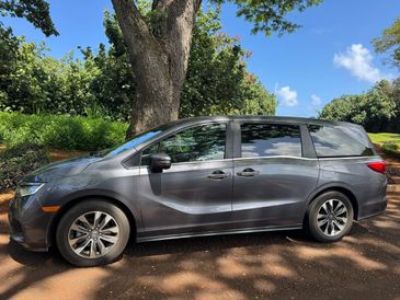 Pineapple Express Kauai - Car Rentals - Lihue, Hawaii