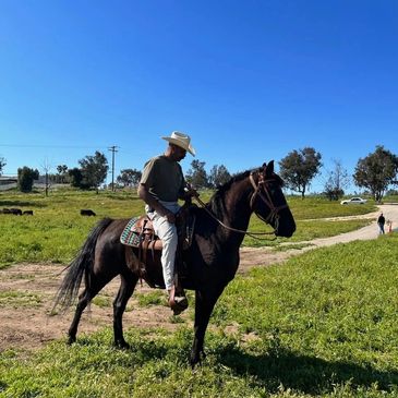 Compton Farms Equine