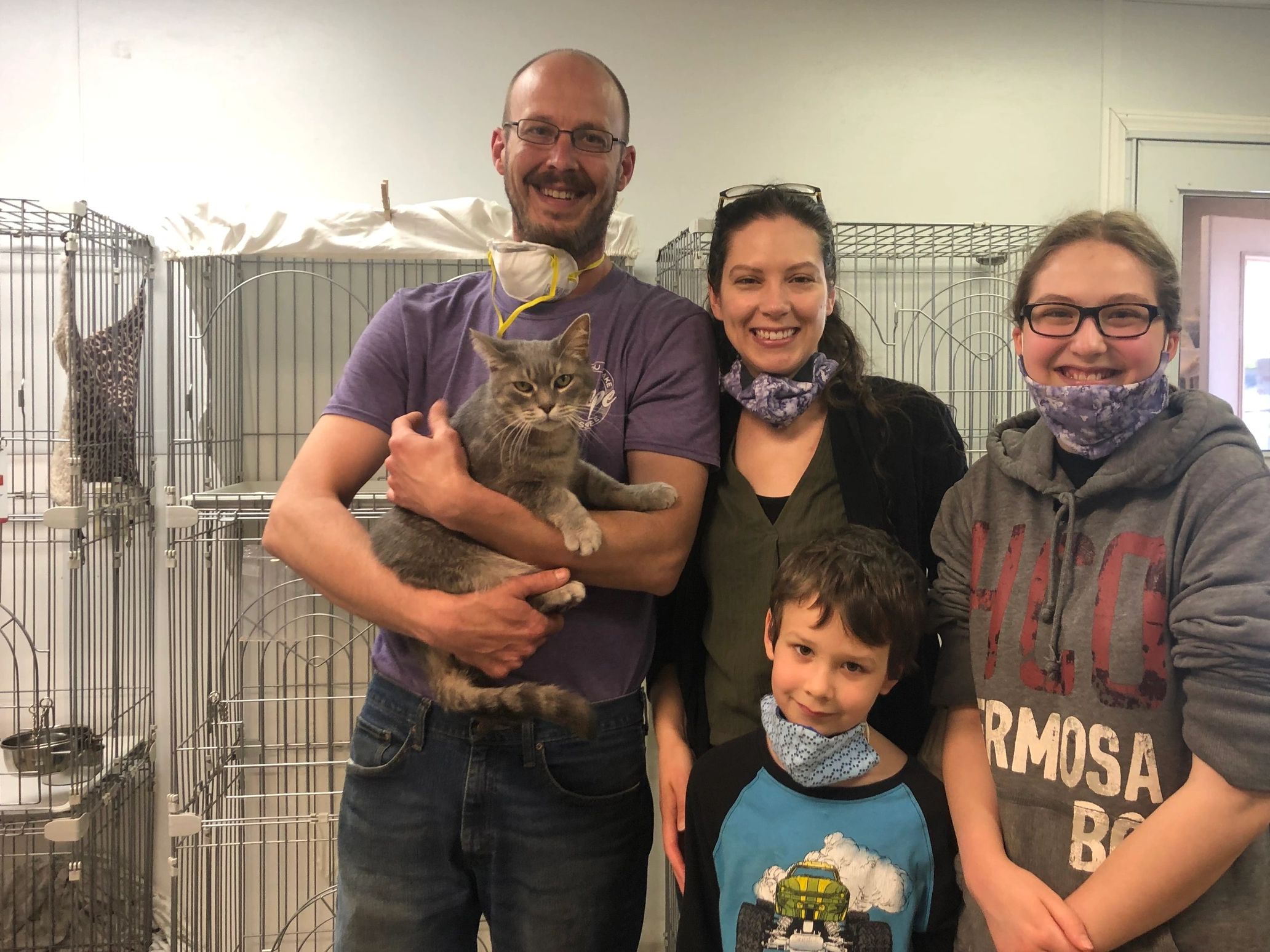 Adopt A Cat
