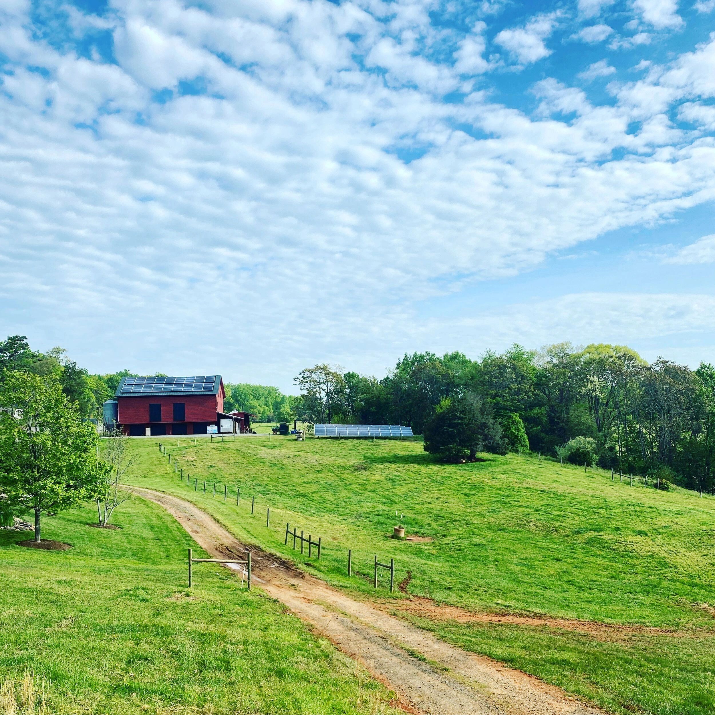 Home [timbercreekfarm.com]