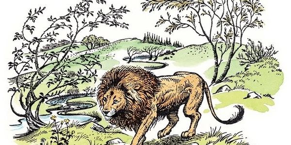 The Books | The Narnia Faire