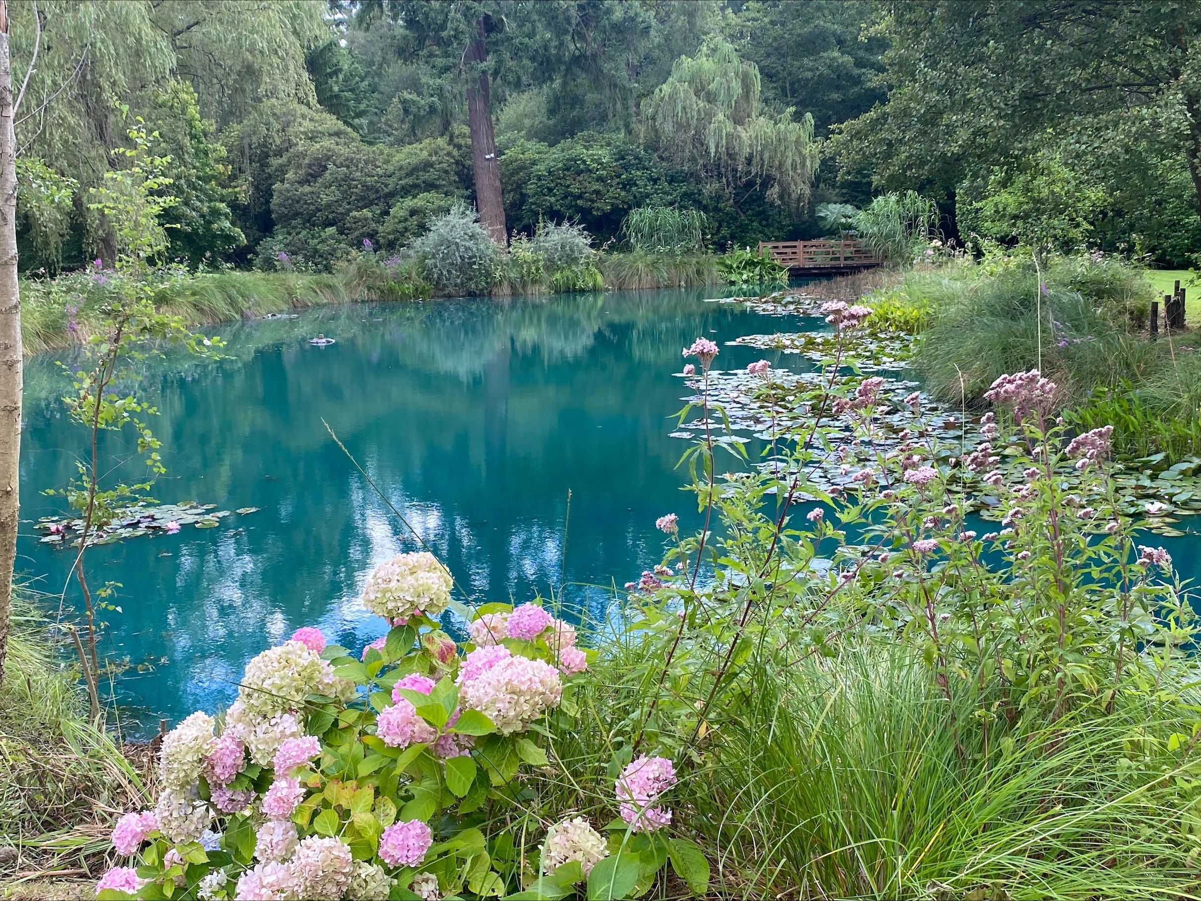 Reliable & Trustworthy Pond Experts | Kingfisher Ponds