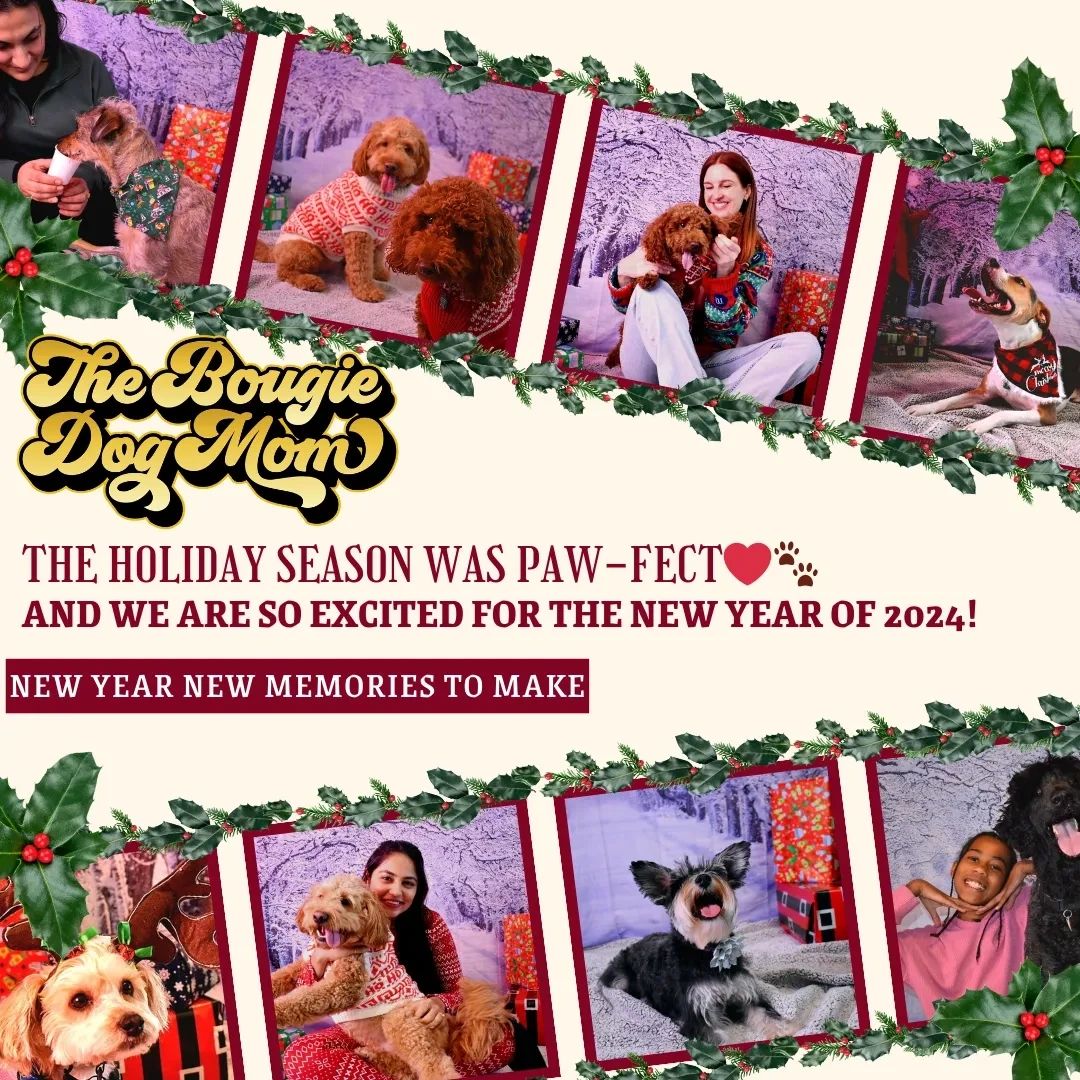 The Bougie Dog Mom