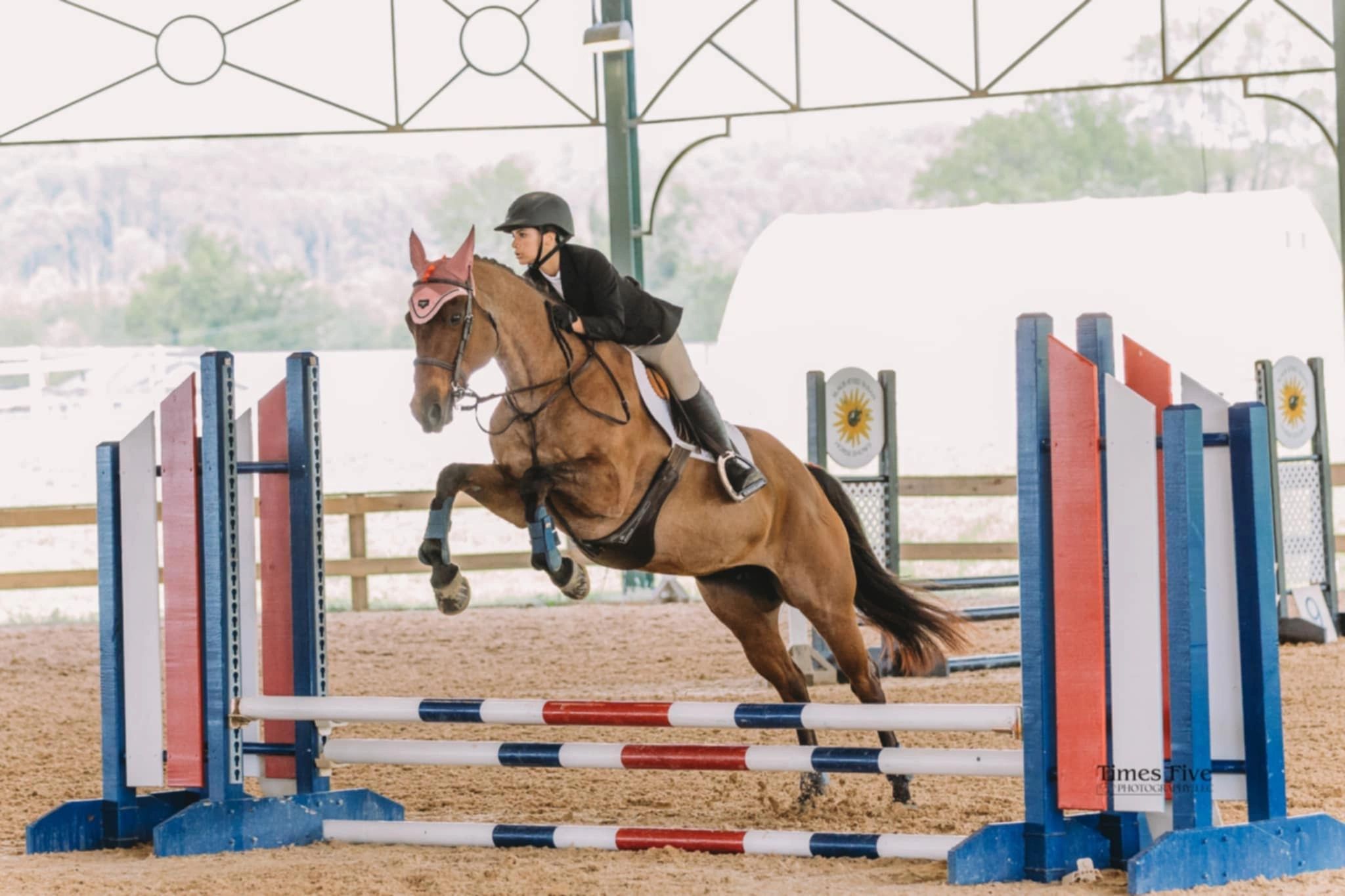 Shepherd's Hollow Stables