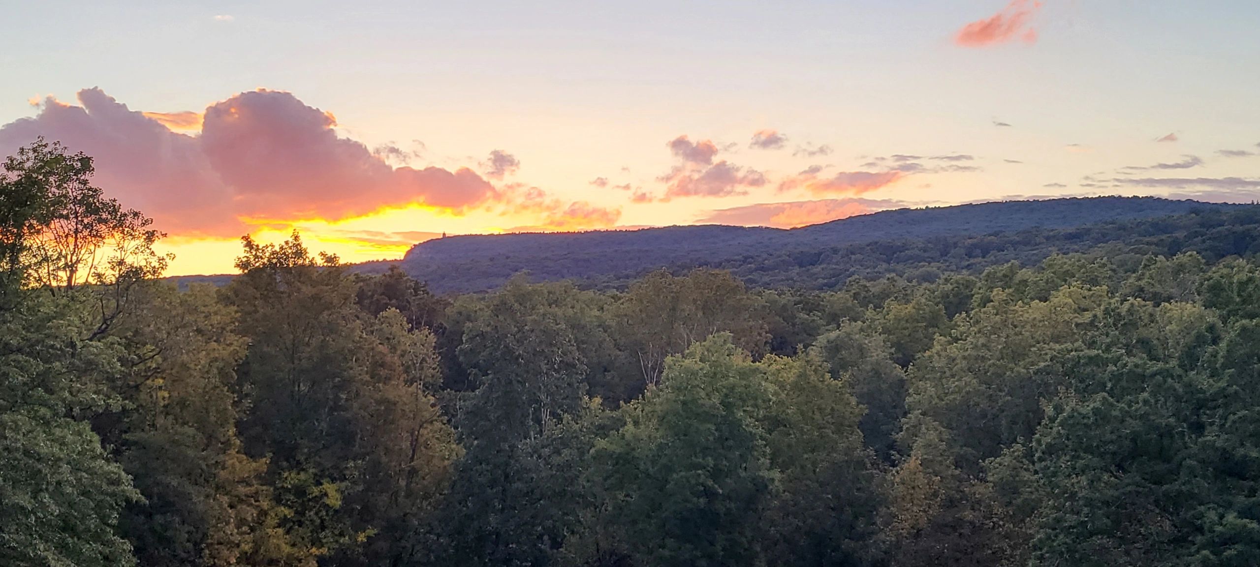 Mid-Hudson VIP