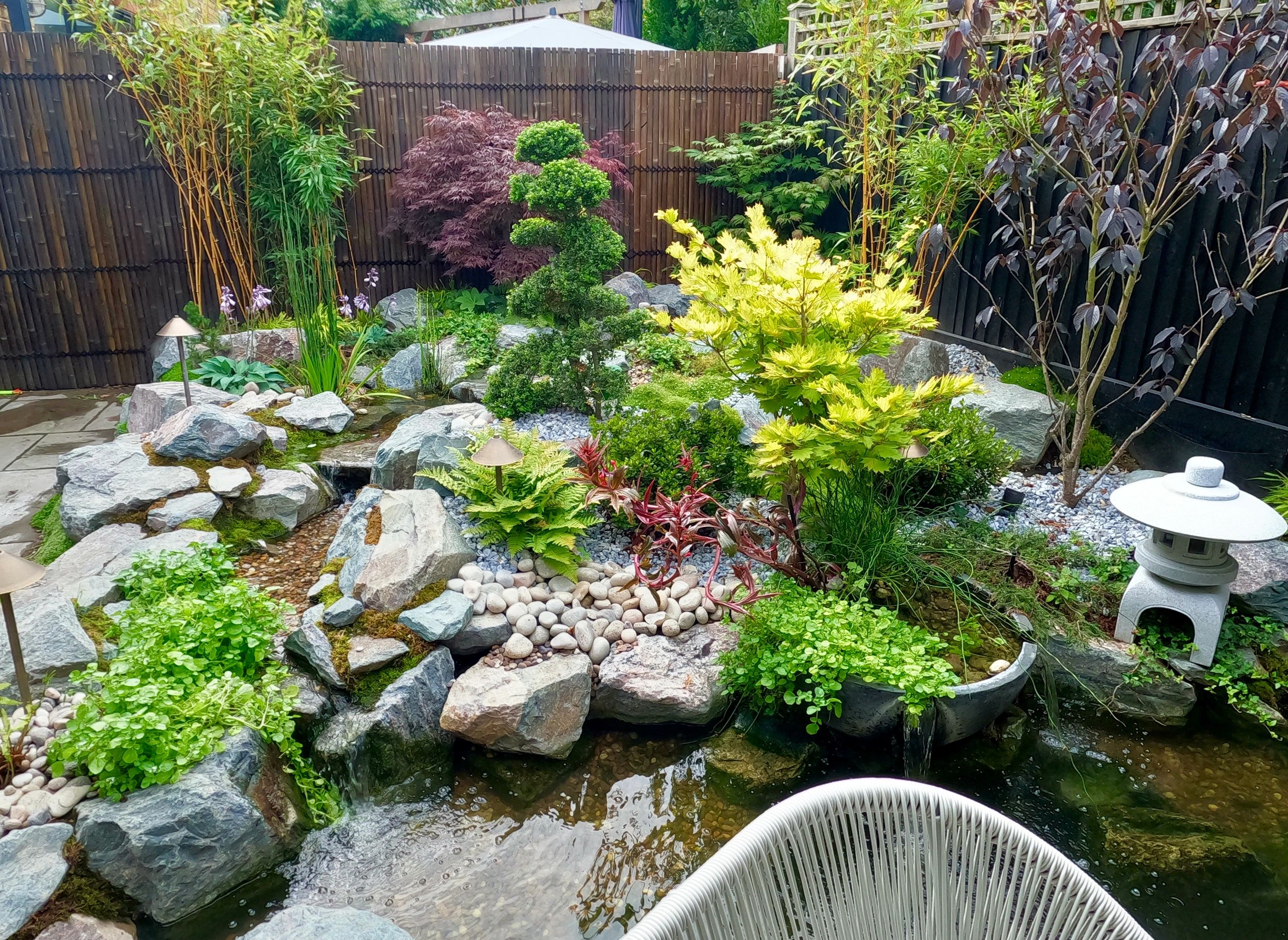 Backyard Japanese Water Garden