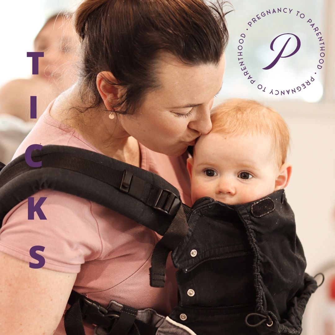 What are TICKS babywearing guidelines?
