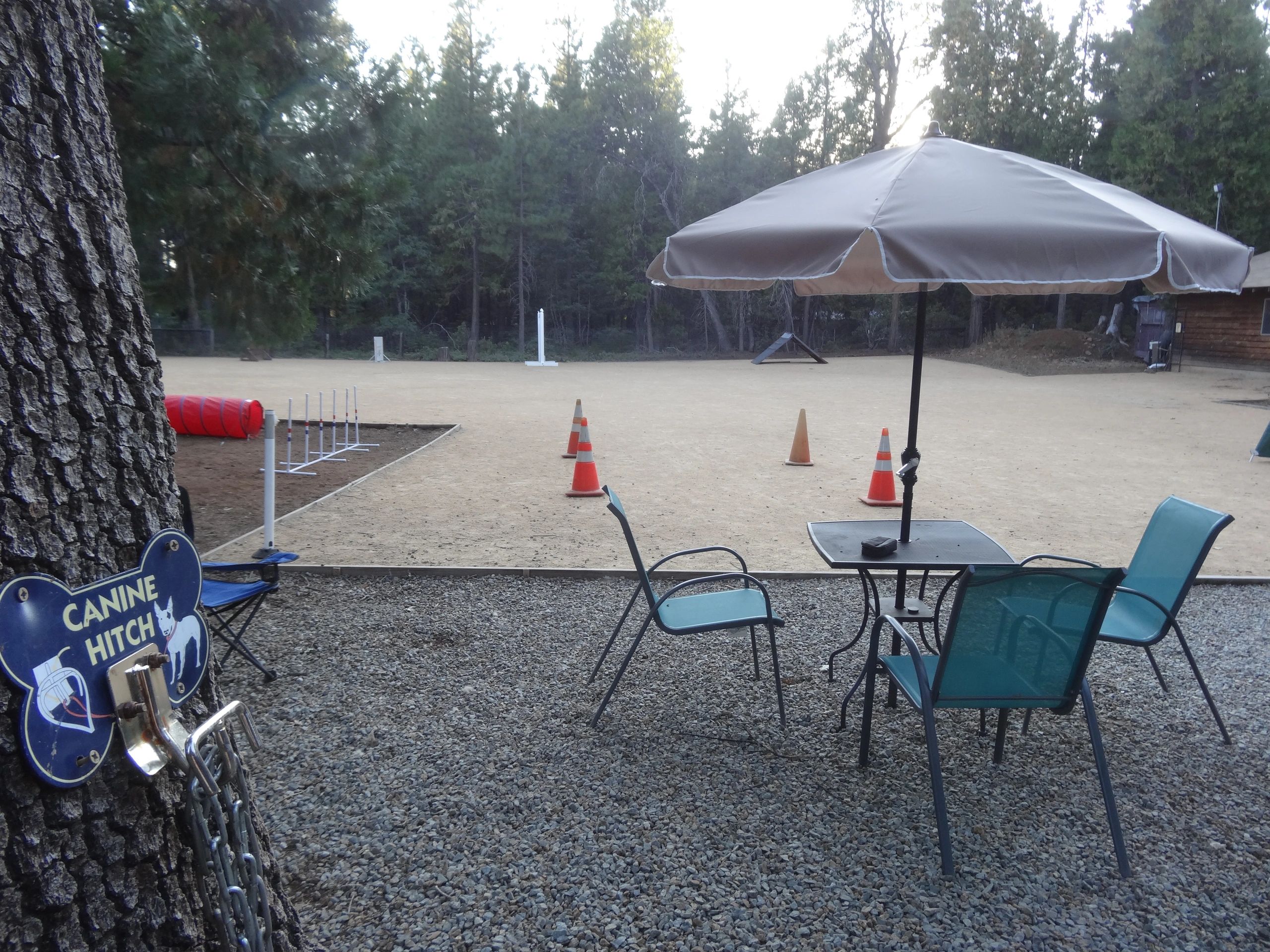 Shasta Dog Training serving Redding - Shasta County - Northern California