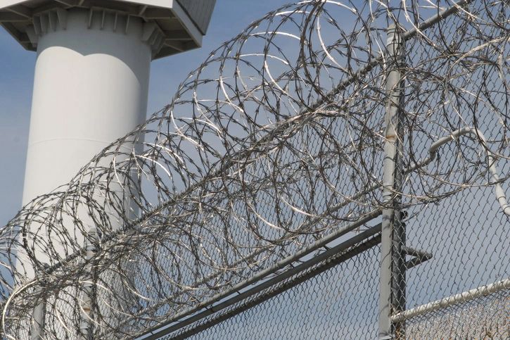 The Innocence Project