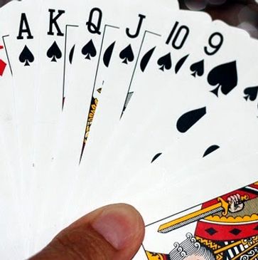 BRiST it's bridge without the tricky bits.