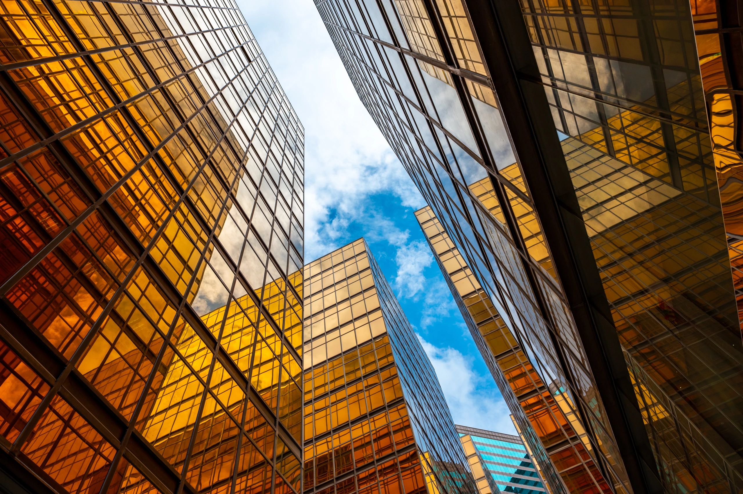 Kinetic Design + Development