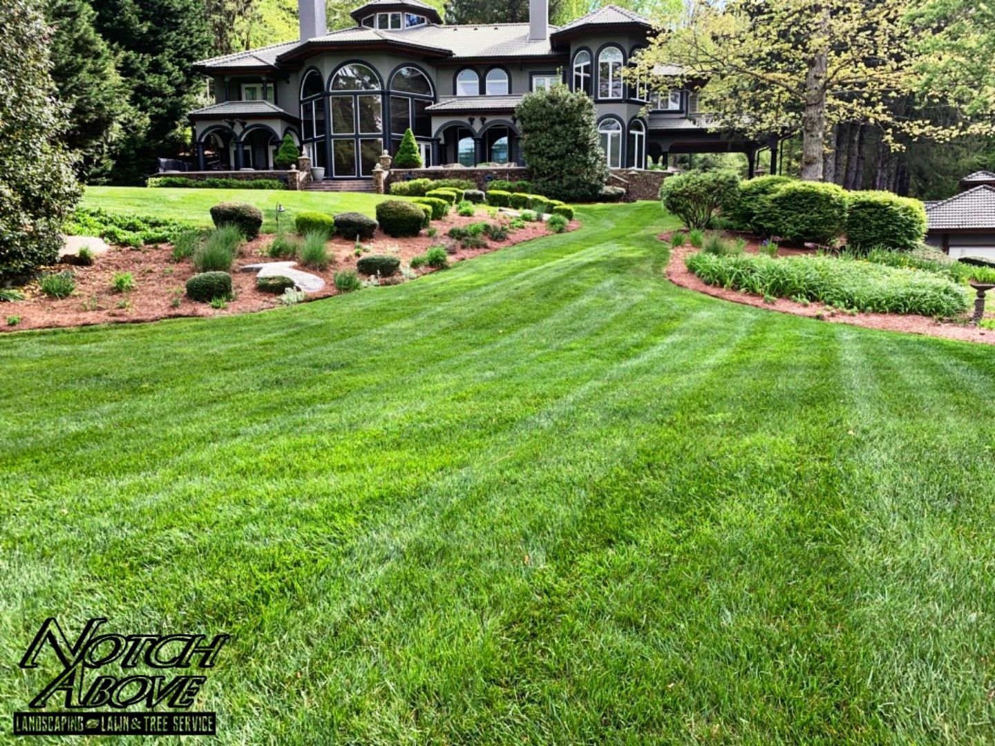 Services | Notch Above Tree Service