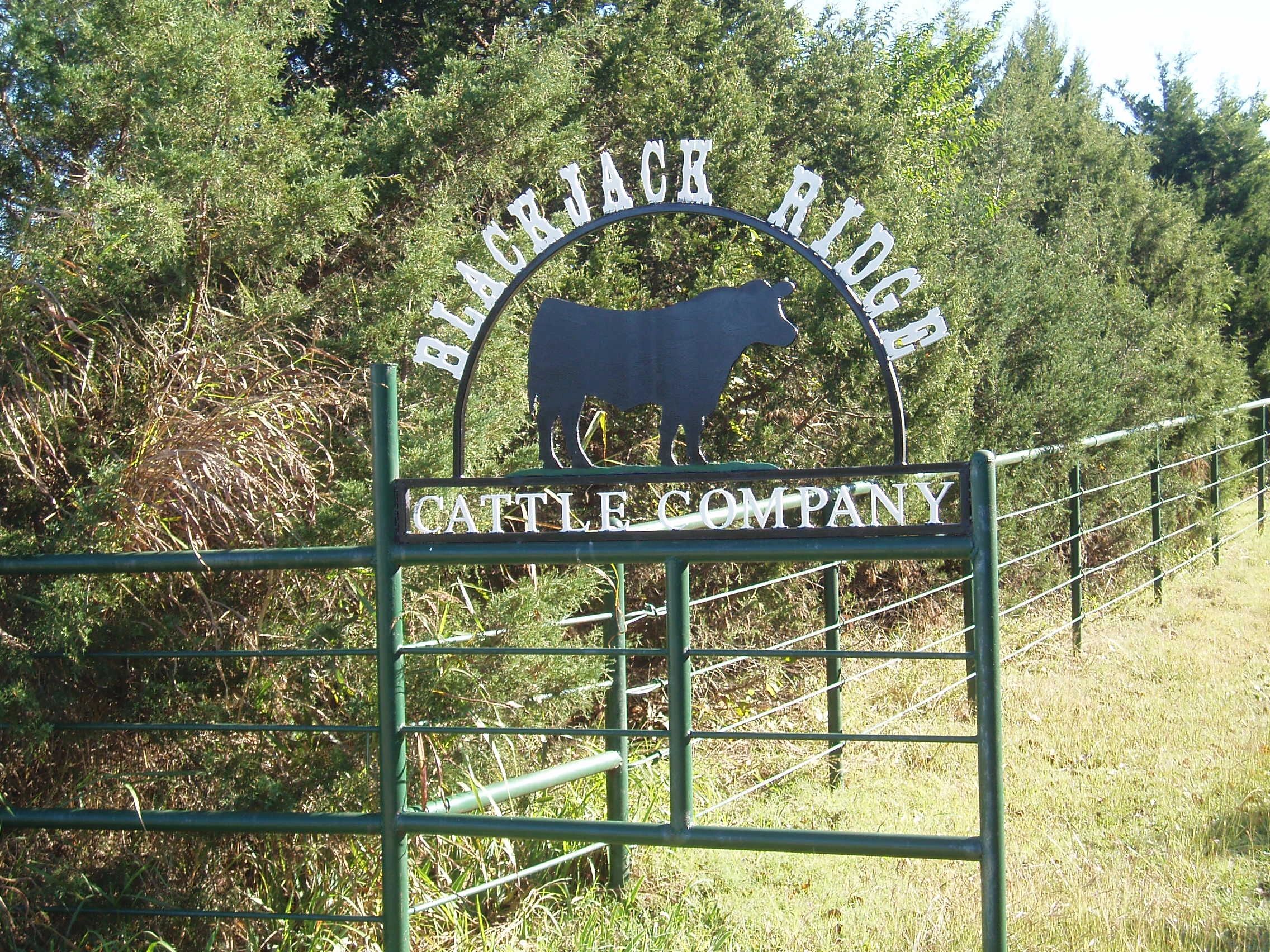 Home Page | Blackjack Ridge Cattle Company