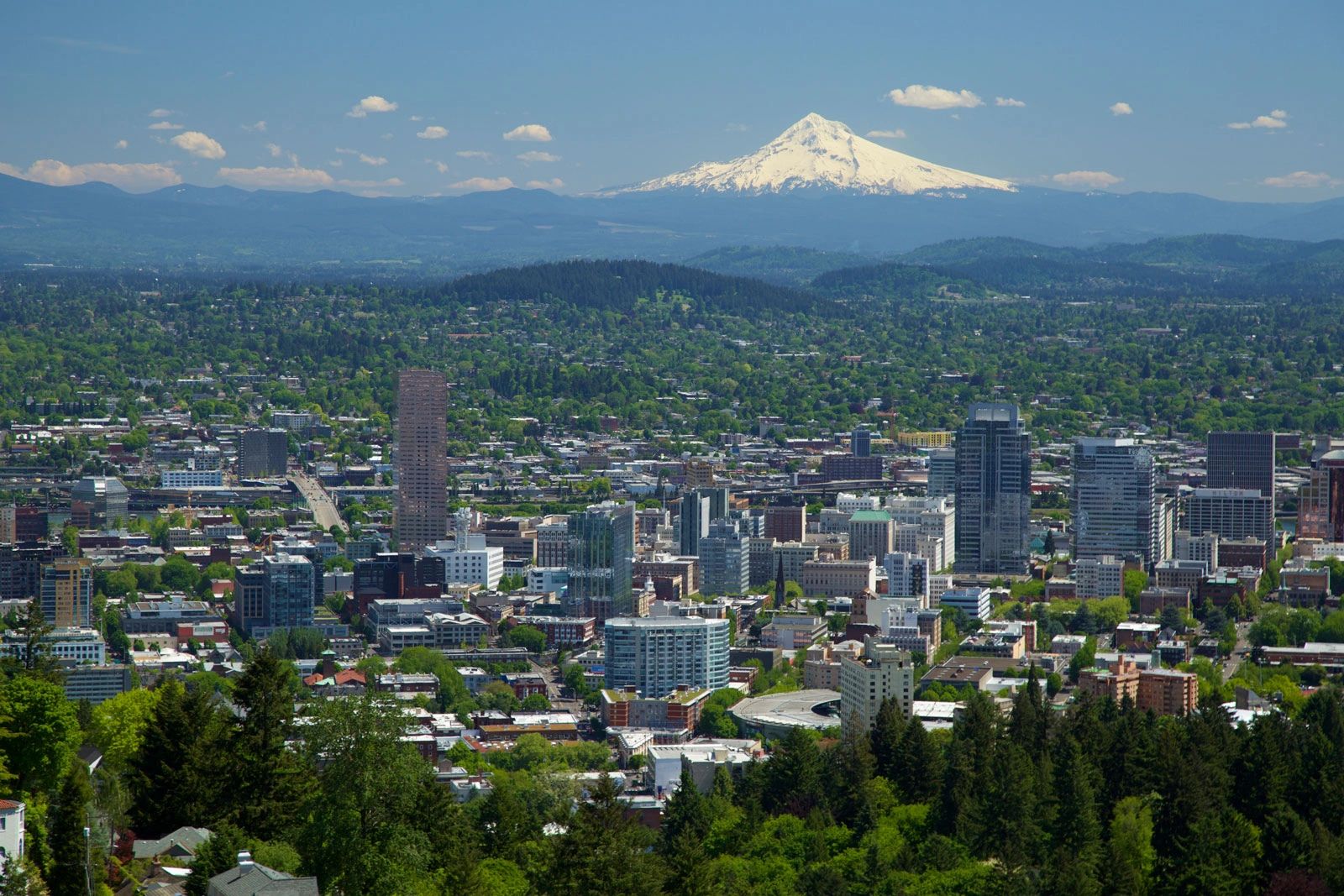 Portland ACS - Chemical Society - Portland, Oregon Portland ACS - Chemical Society - Portland, Oregon