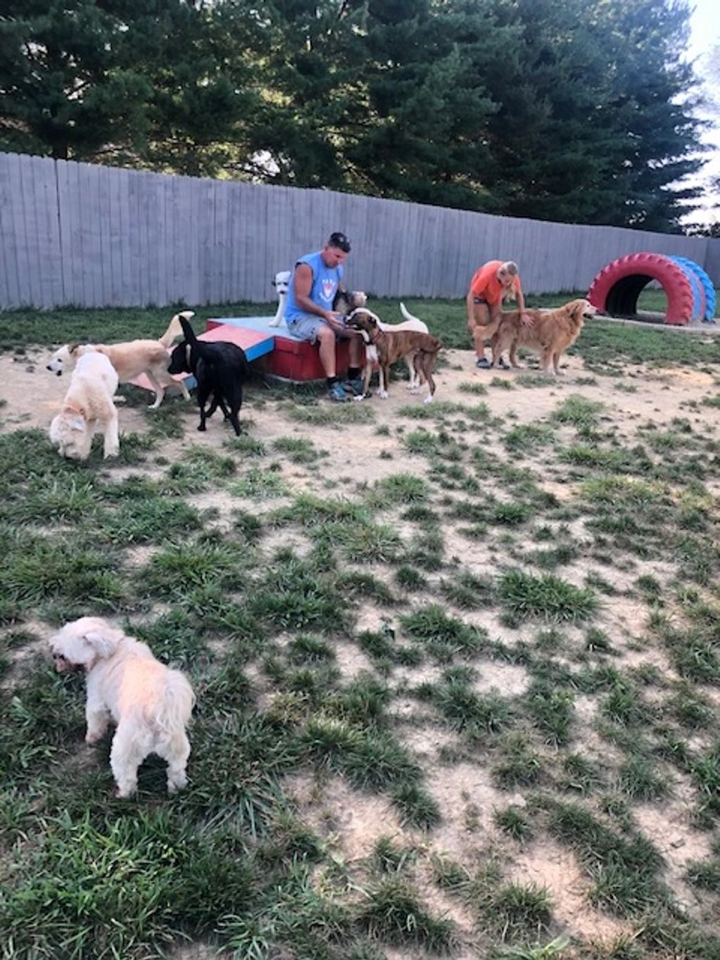 Paws Petcation - Boarding, Kennel