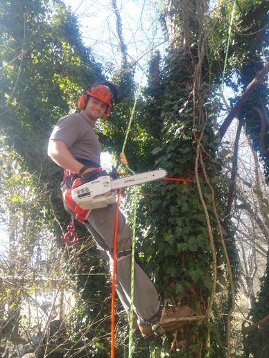 About APM | Accelerated Property Management, L.L.C.