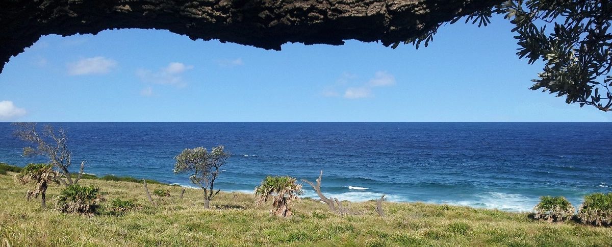 Team | Land Air Water Environmental Management