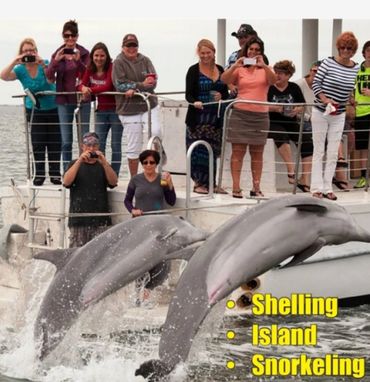 Dolphin Snorkeling Cruise in Gulfport, Florida