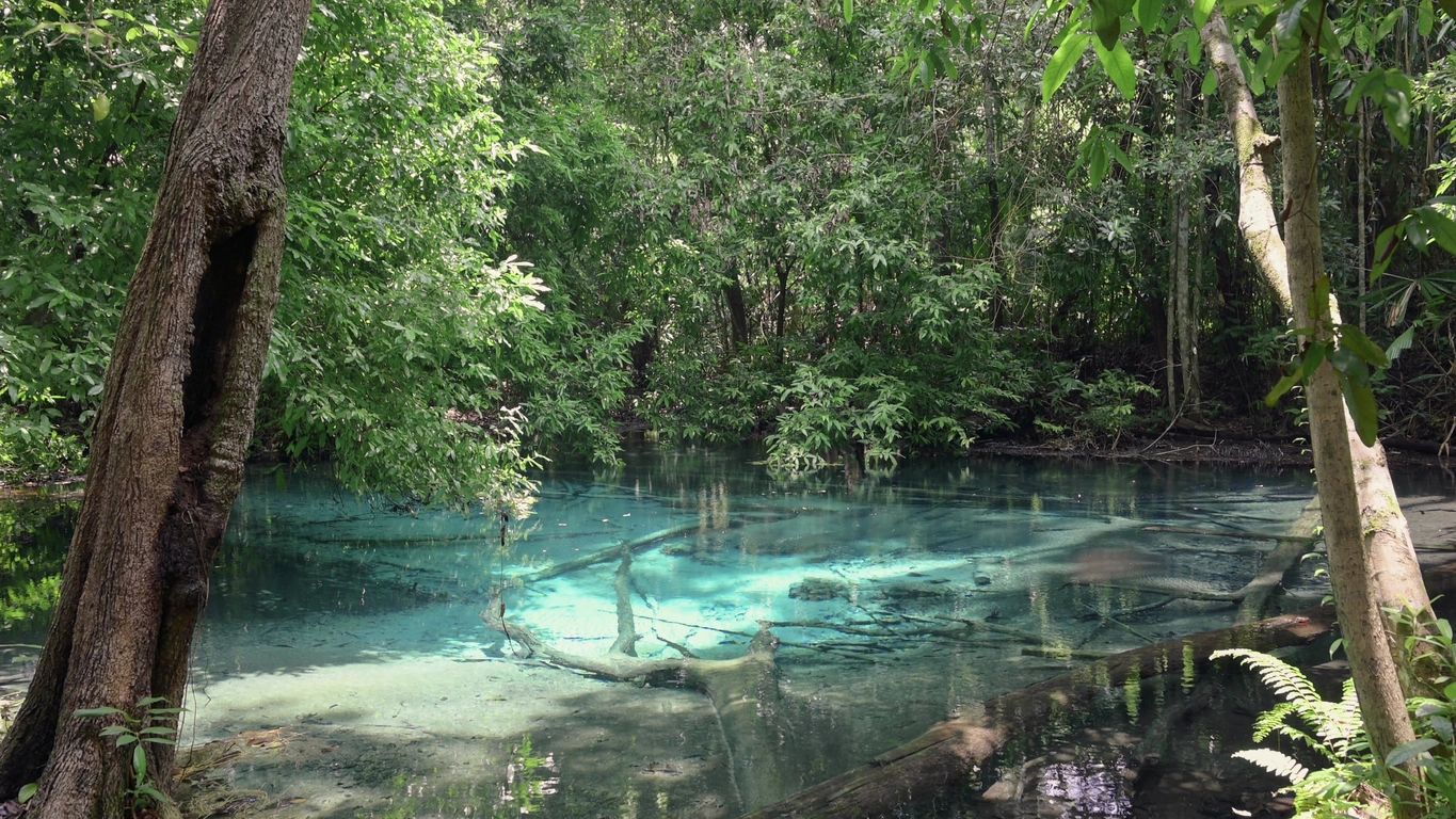 Michelle Jurkiewicz, PsyD