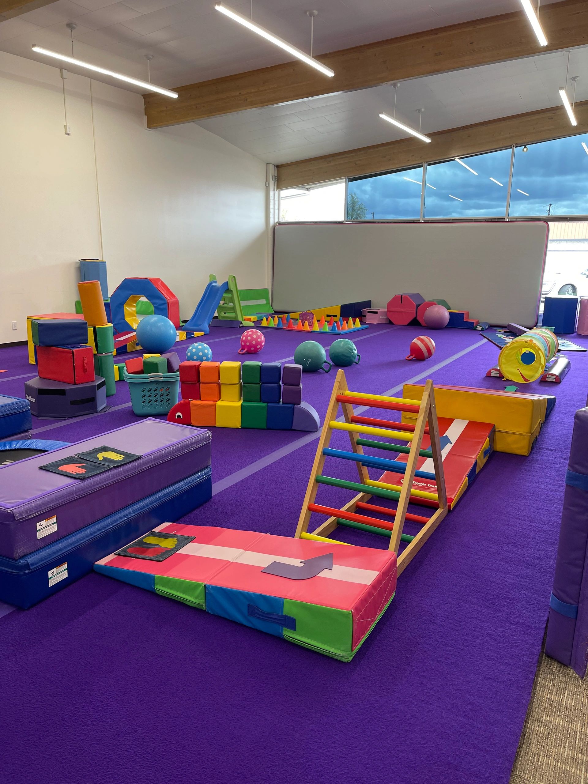 TUMBLE BUGS, WALLA WALLA GYMNASTICS & MOVEMENT
