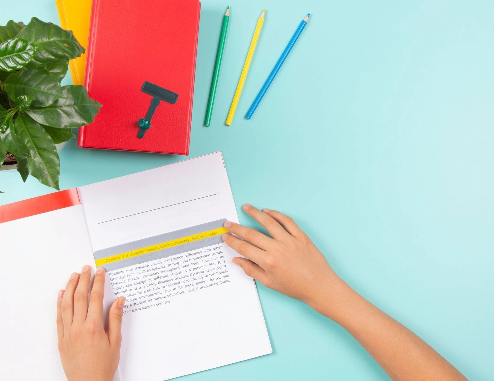 The Benefits of Guided Reading Strips