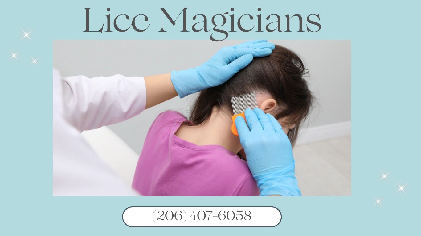 Professional Head Lice Removal Services