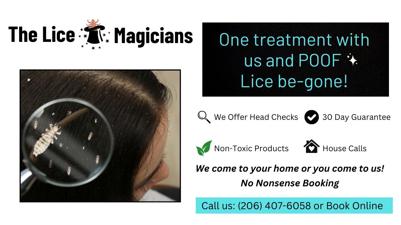 Professional Head Lice Removal Services