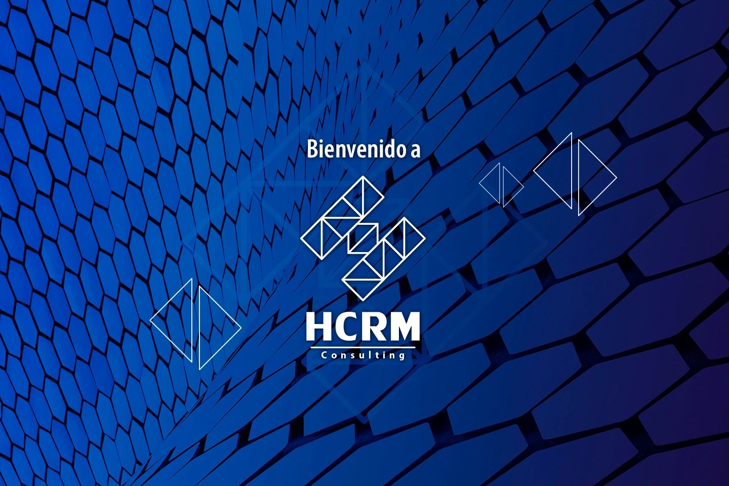HCRM Consulting - Software Y Tecnología, Salesforce Y SAP