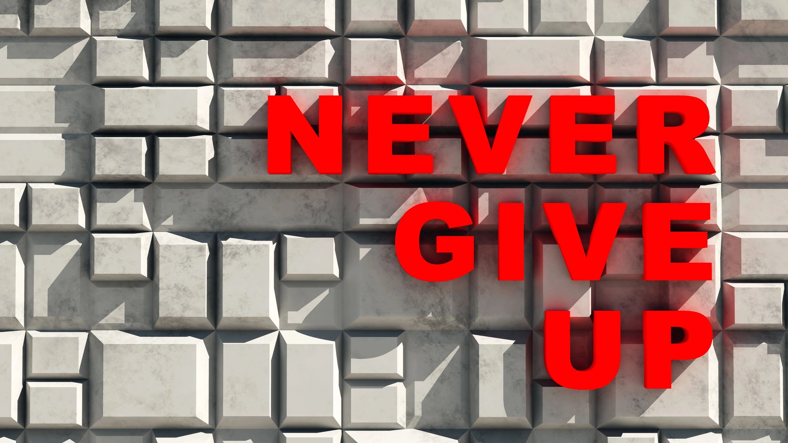 Don’t Give Up: The Power of Perseverance and Hope