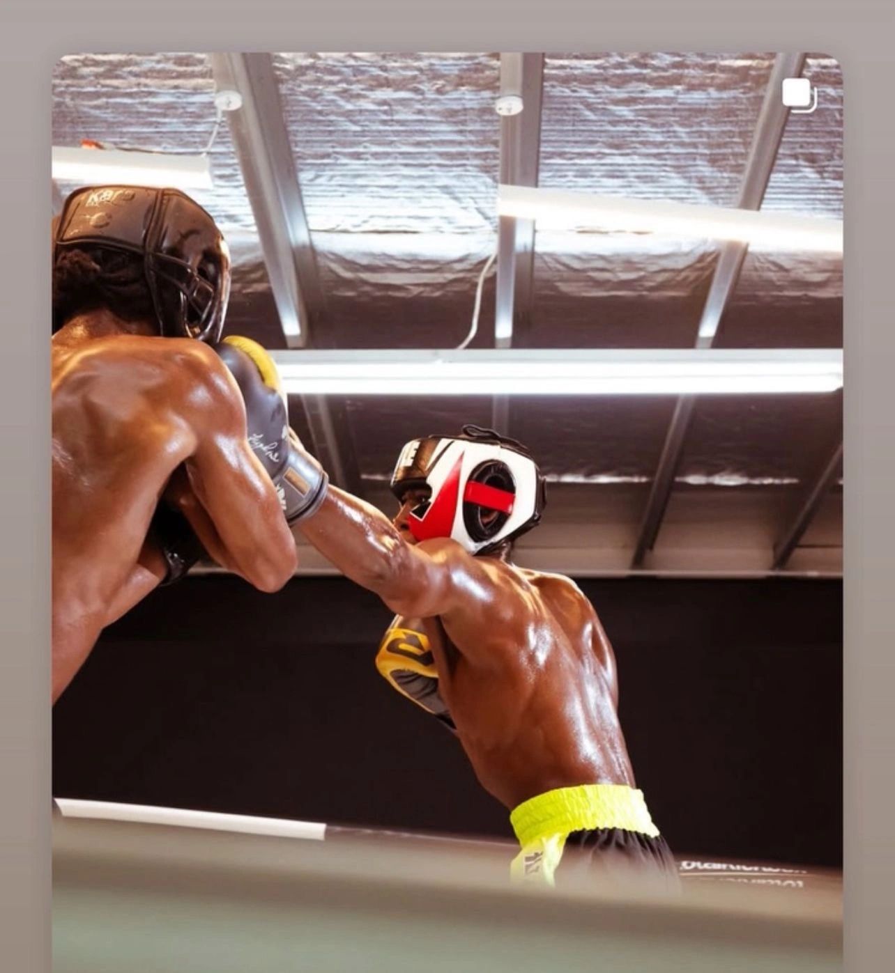 Elite Force Fight Academy