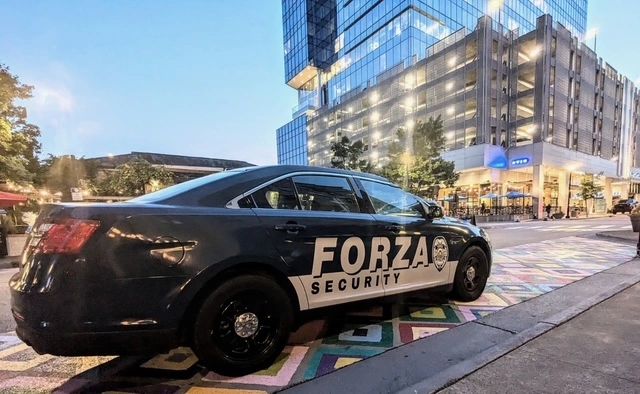 Forza Security