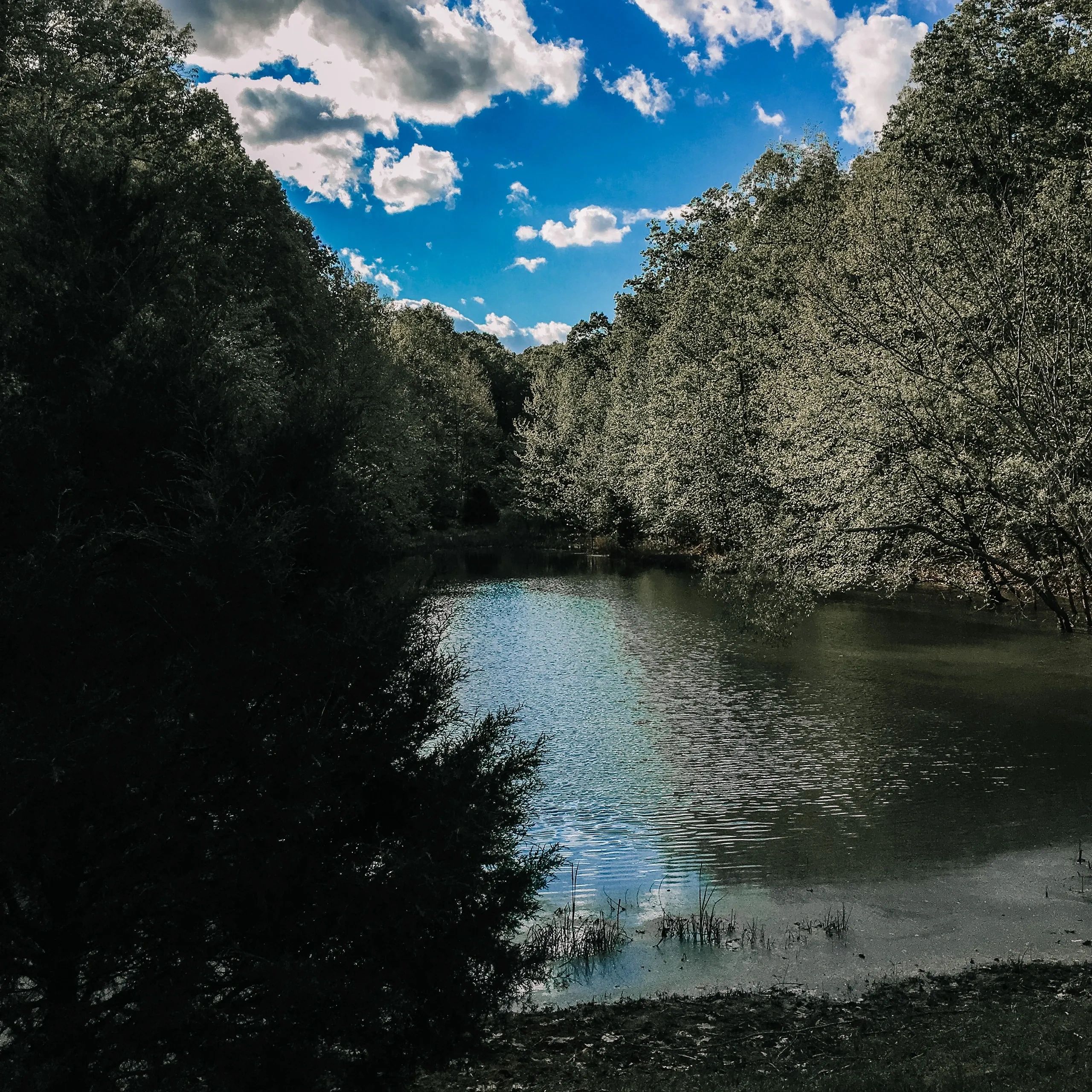hiddenvalleylakestn.com