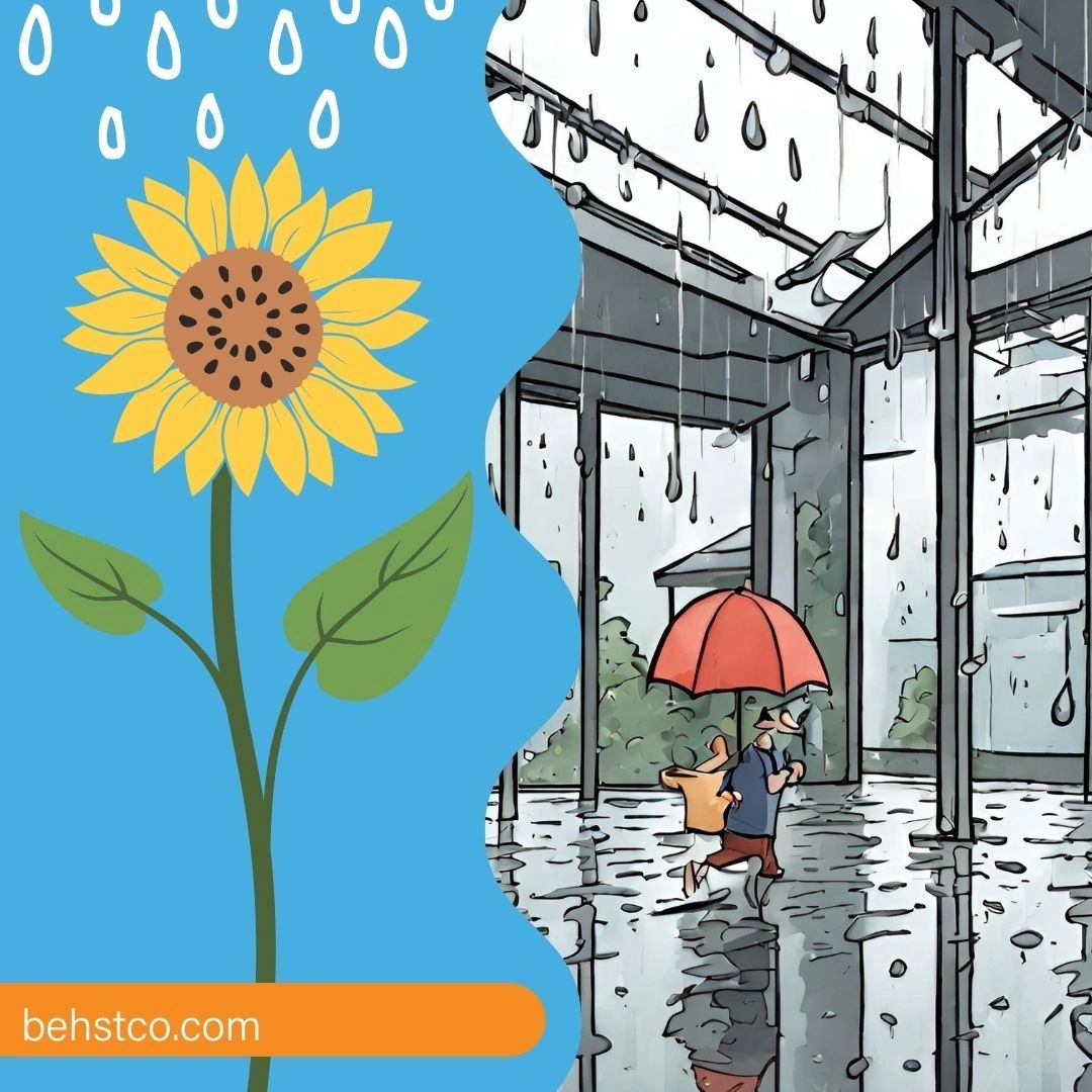 Foggy Business: Navigating Condensation in Food Processing