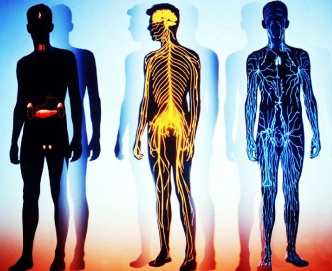 Treating The Whole Person