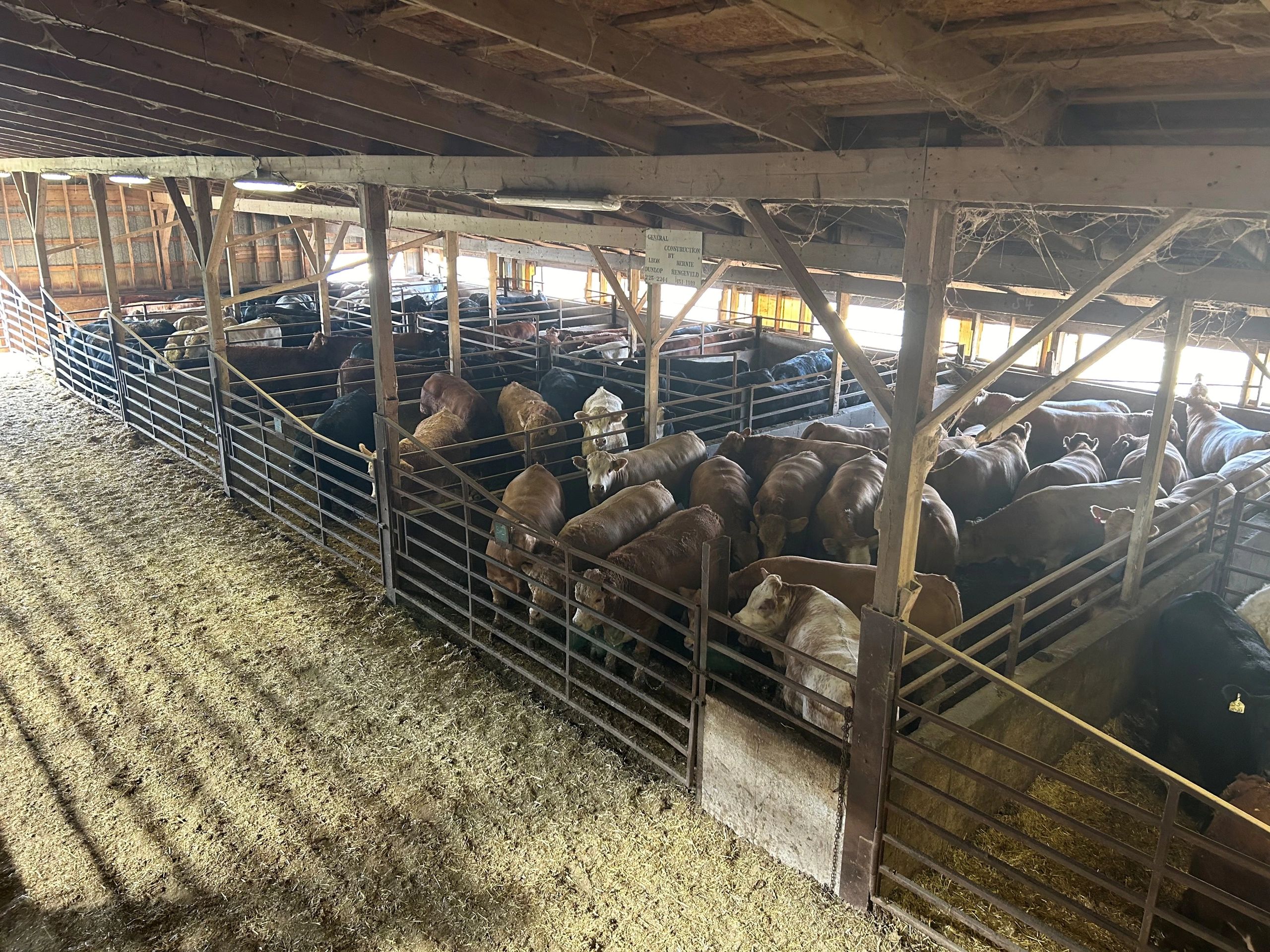 Market Reports - Denfield Livestock Exchange