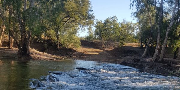 Flying Fox Station Accommodation