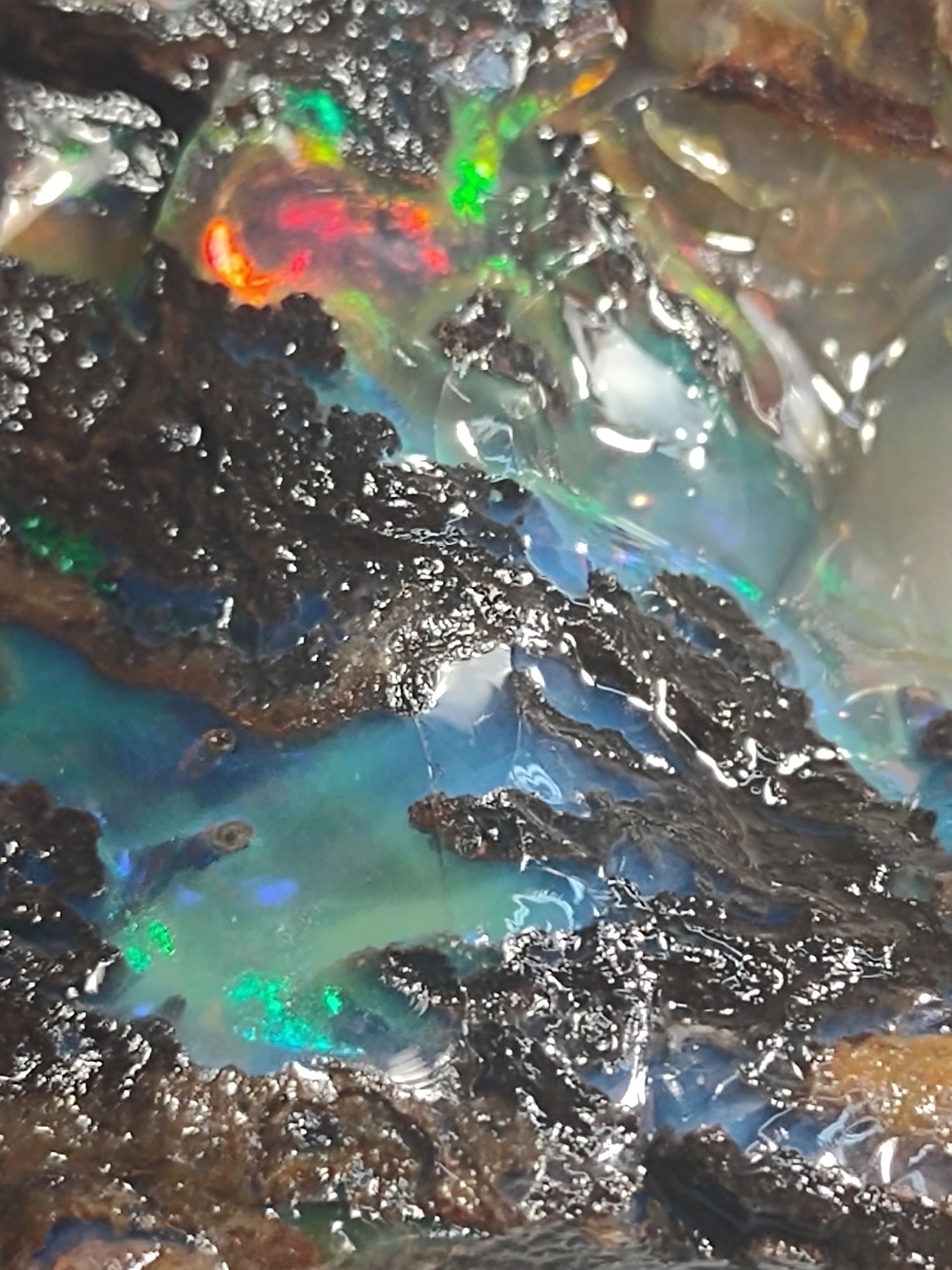 Rough Opal Virgin Valley Fire