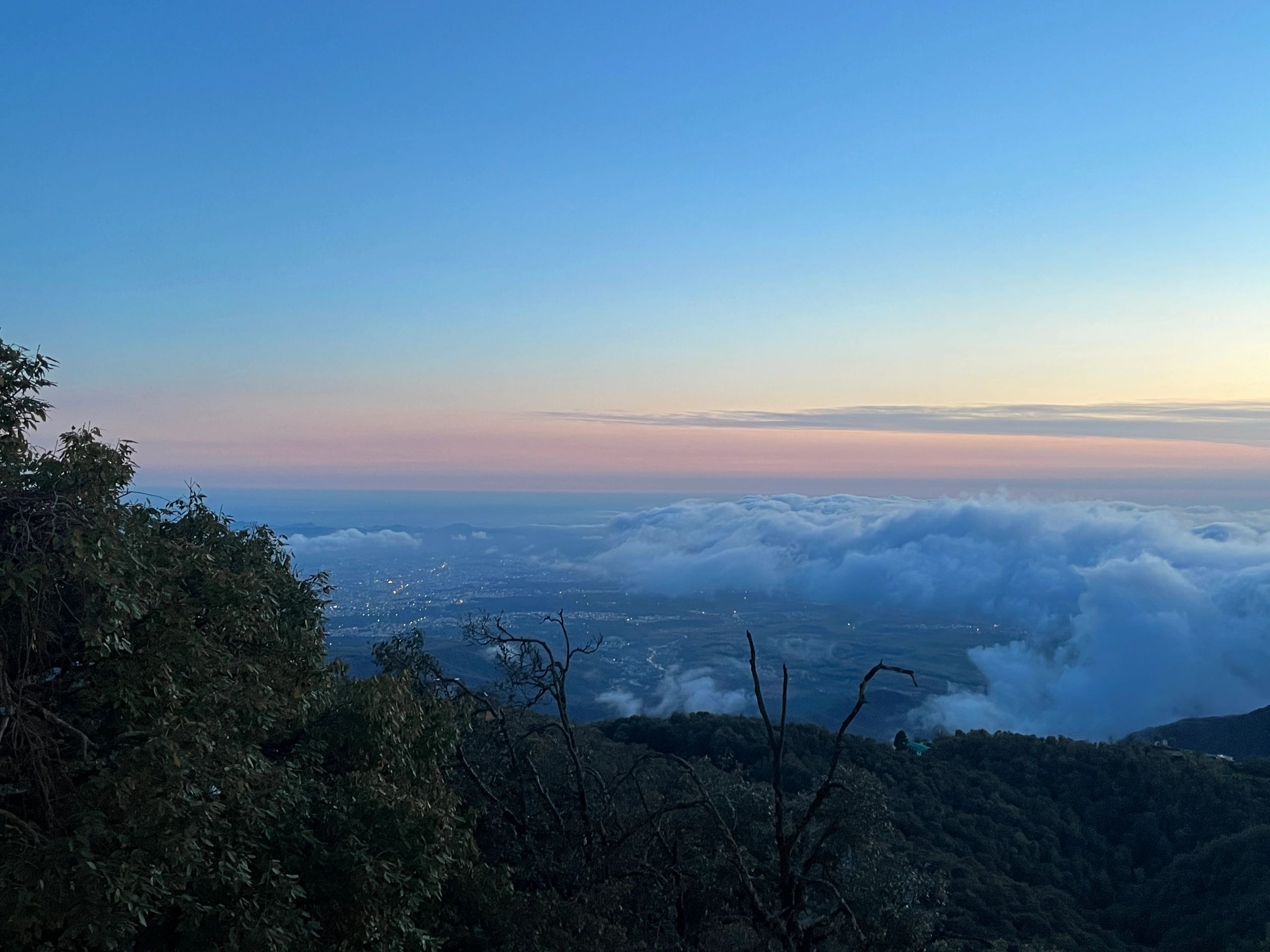 Fable One Bedroom Suite