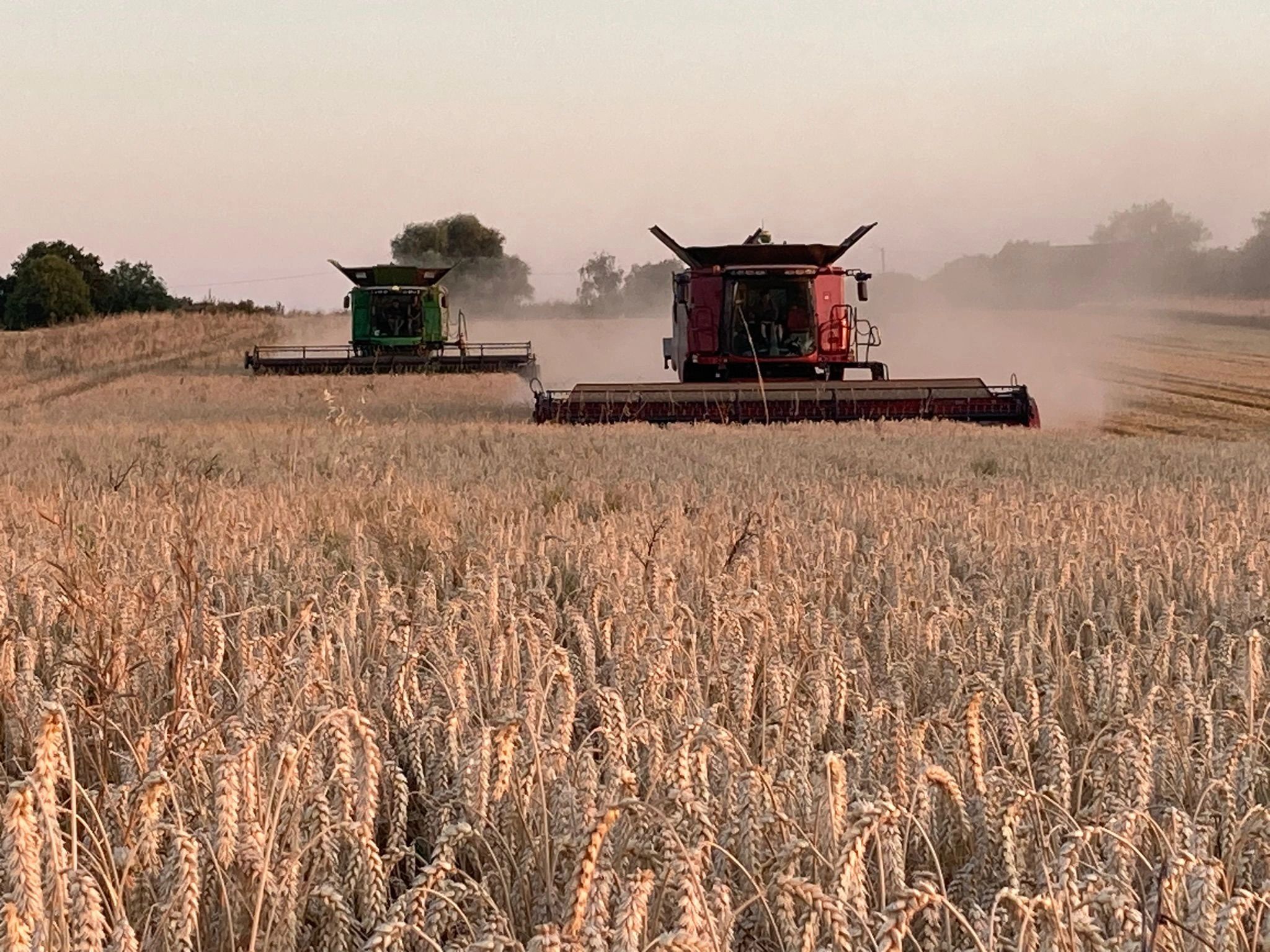 Cluster Map | Marden Farmer Cluster