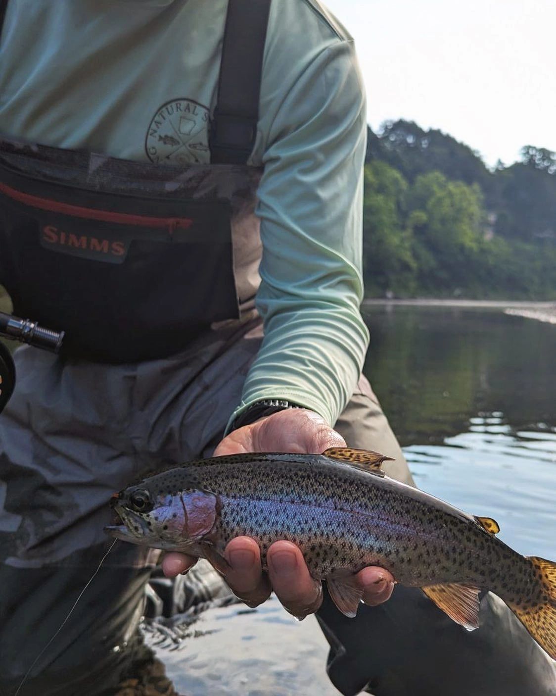 Natural State Fly Fishing - Guided Fly Fishing Trips & Lessons