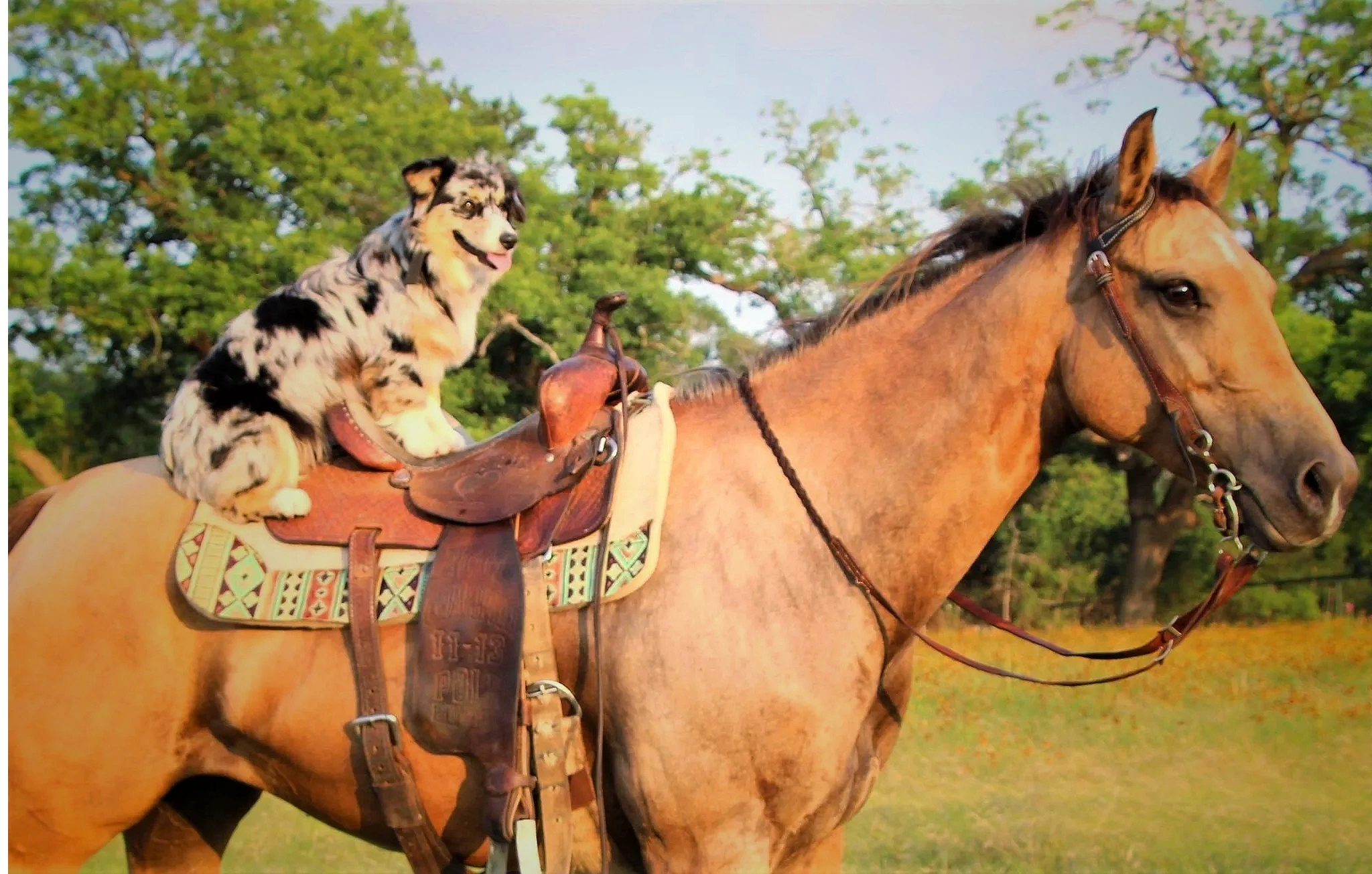 JK IM PACKIN A PISTOL