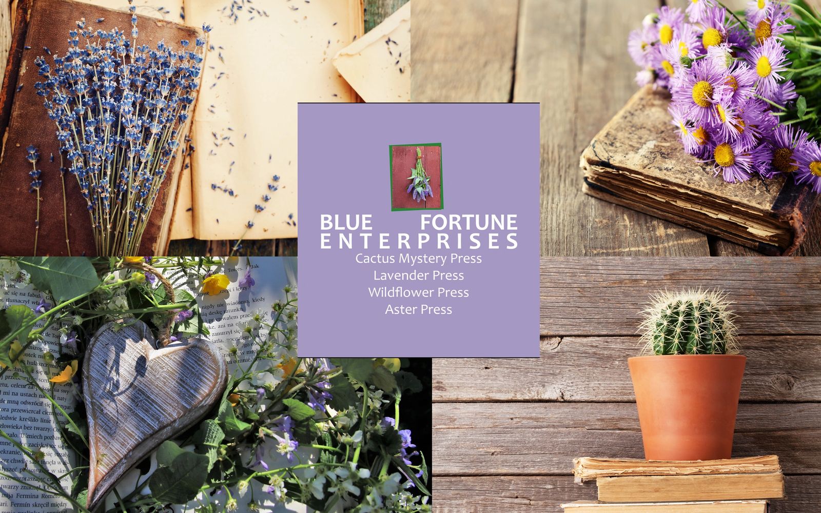 Blue Fortune Enterprises - Books, Publisher, Books, Publishing