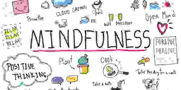 Social/Emo (Elementary) | K12 Counseling Resources