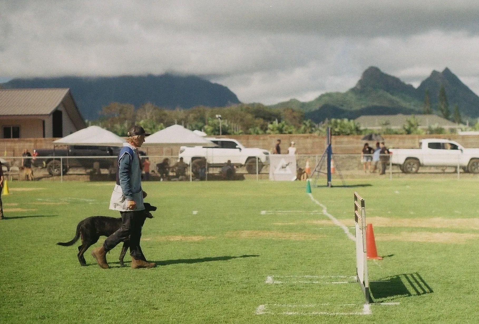 Dusty Dog Training - Dog Training, Dog Lesson
