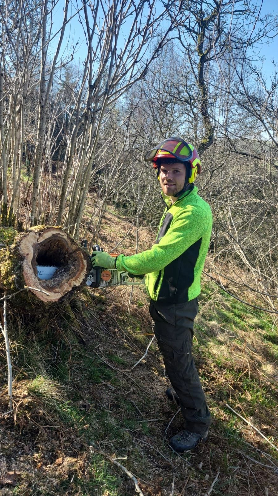 Expert Tree Surgeon & Professional Landscaping Services